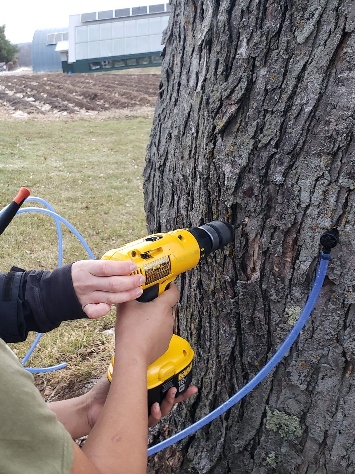 Maple Sap Collecting and Boil Down on St. Joseph Ridge - FSPA News