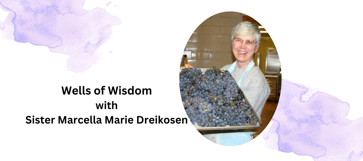 Wells of Wisdom: 'Everybody needs to pitch in...' - FSPA Franciscan ...