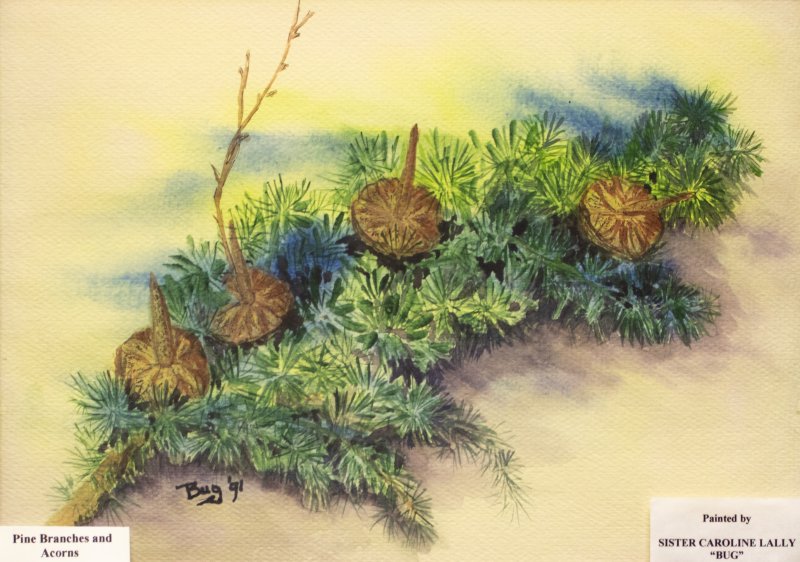 Sister Caroline Lally's Story & Gallery - FSPA Franciscan Sisters of ...